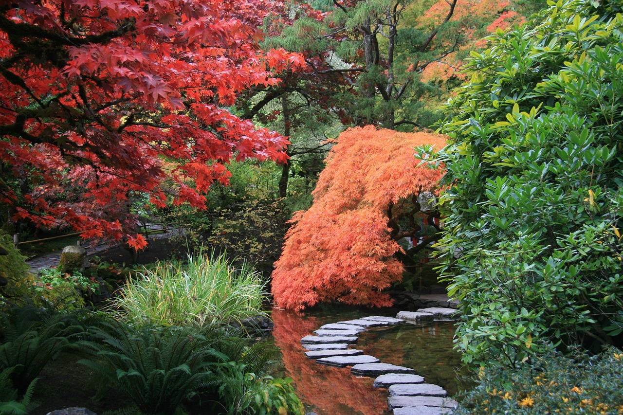 Japanese Evergreen Gardens Plants: Ultimate Trees List & Guide ...