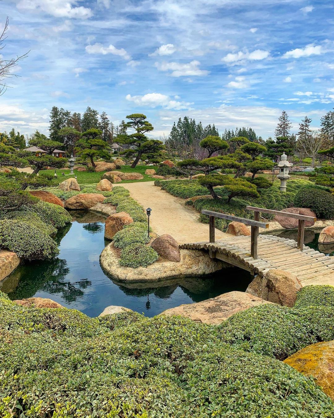 Plants for Japanese & Zen Garden in Southern California: Trees, Shrubs ...